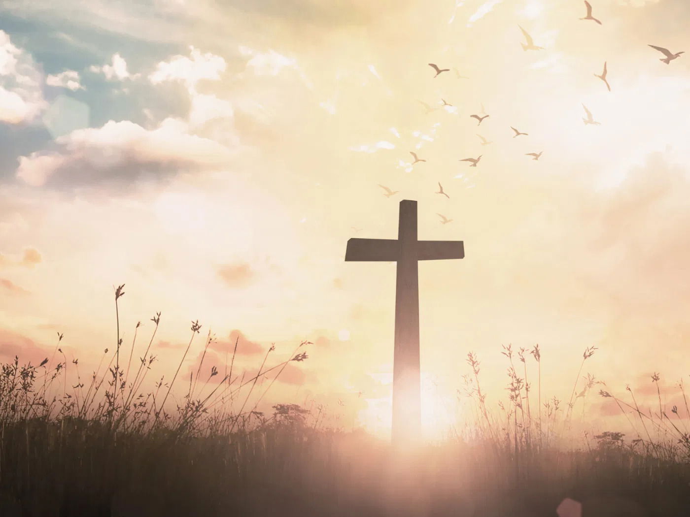 20 Verses About the Crucifixion and Death of Jesus - Bible