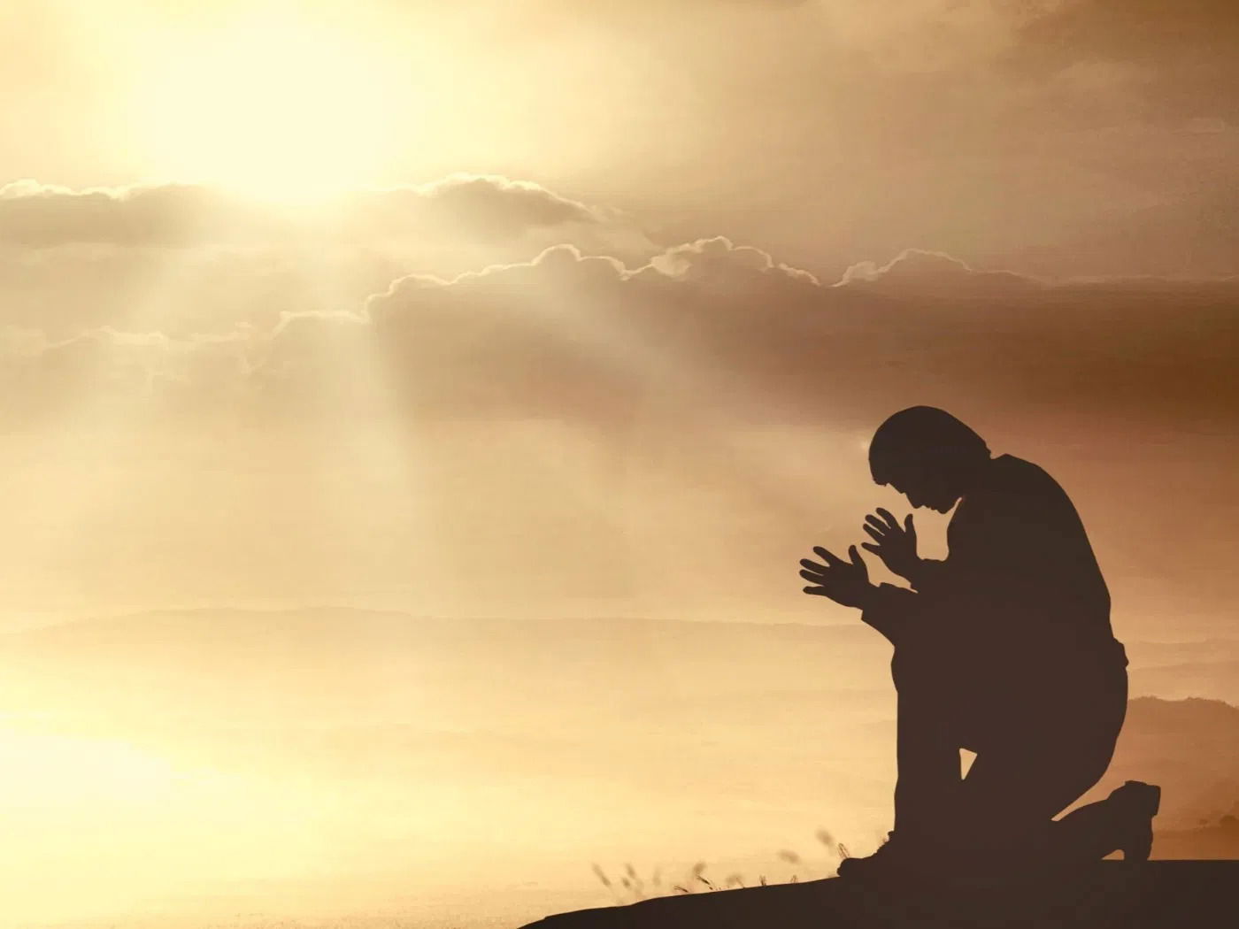 Examples of True Repentance in the Bible (6 Powerful Stories) - Bible