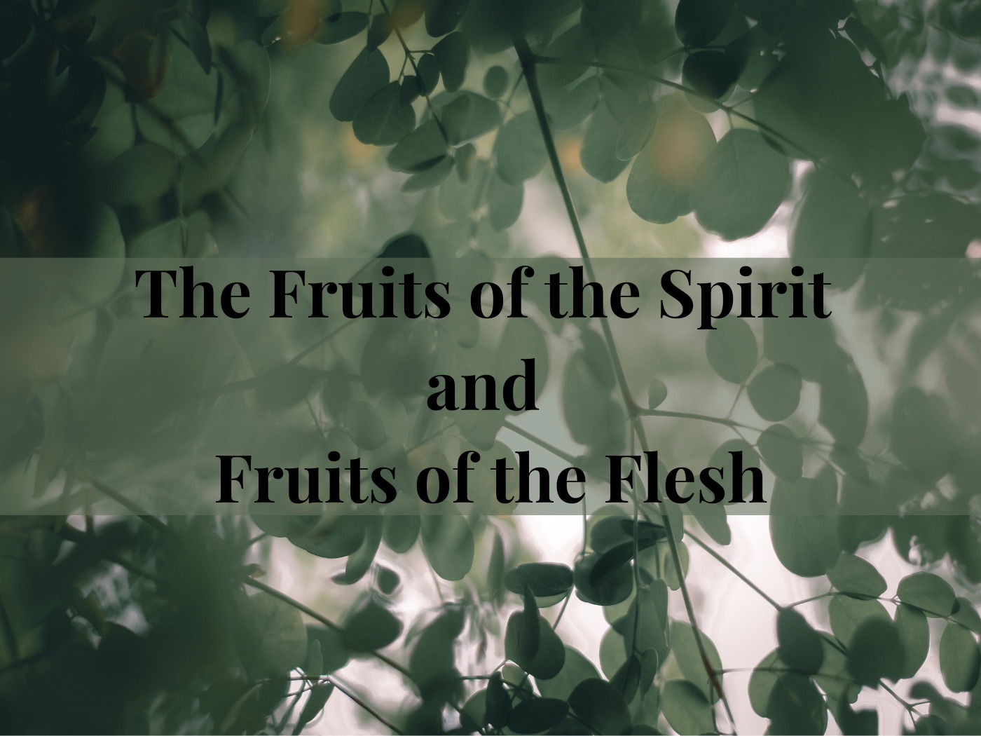 The Acts of the Flesh and the Fruit of the Spirit in The Bible - Bible
