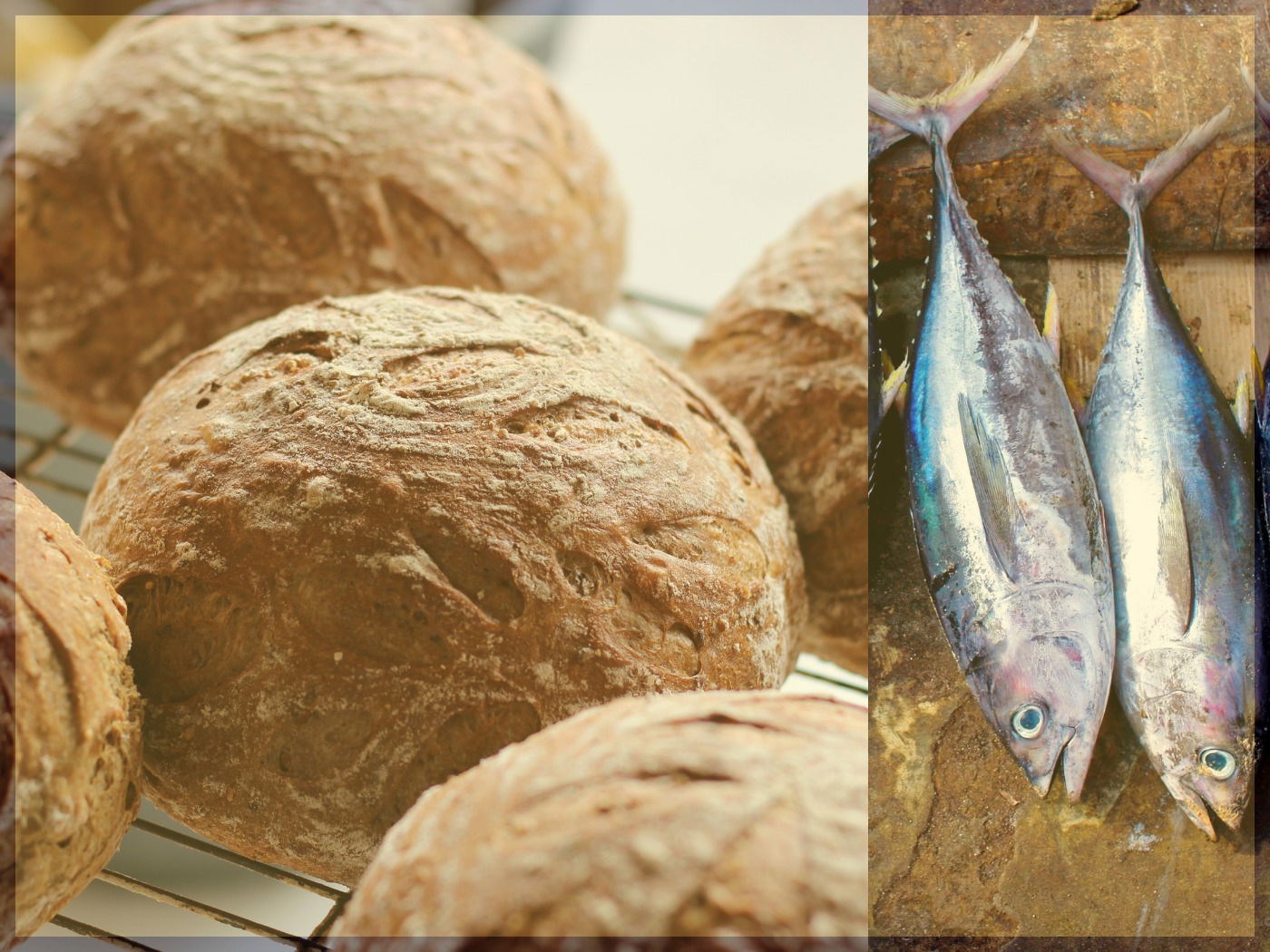 The Multiplication of The Loaves And Fishes: Summary And Explanation ...