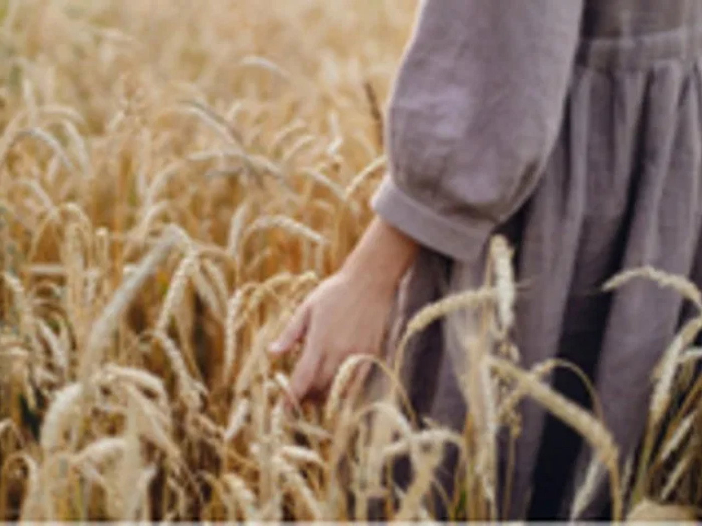 Who Was Ruth in The Bible And What is The Moral of Her Story? - Bible