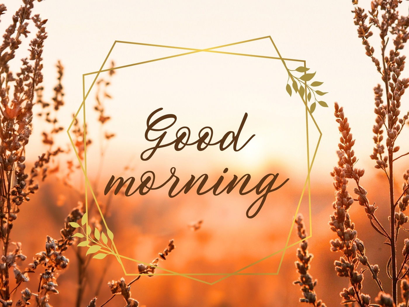 19 Bible Verses For Today Morning (For Blessing And Encouragement) - Bible