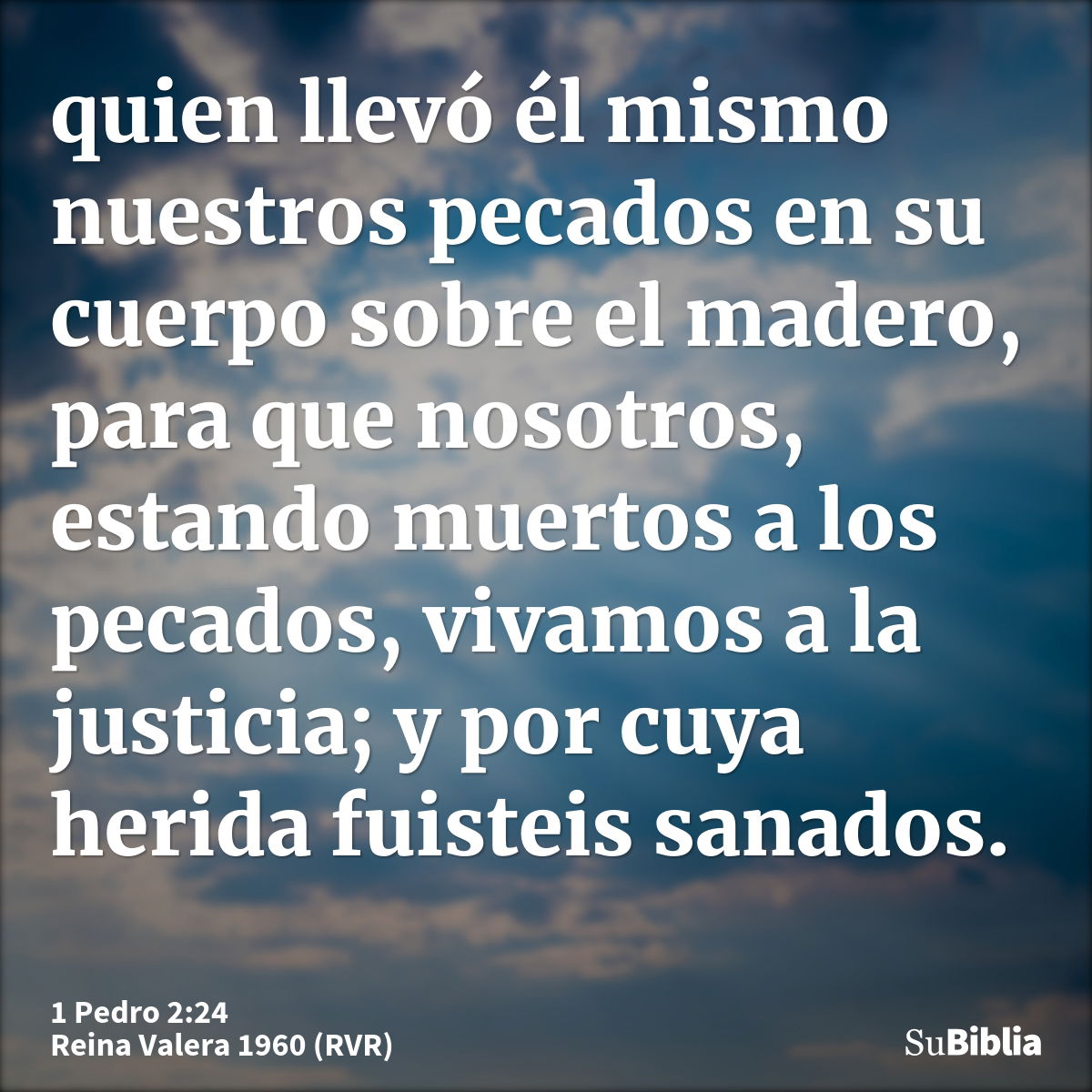 1 Pedro 2 24 Biblia