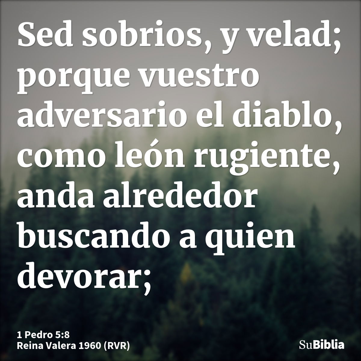 1 Pedro 5 8 Biblia 1 Pedro 5 8 Biblia