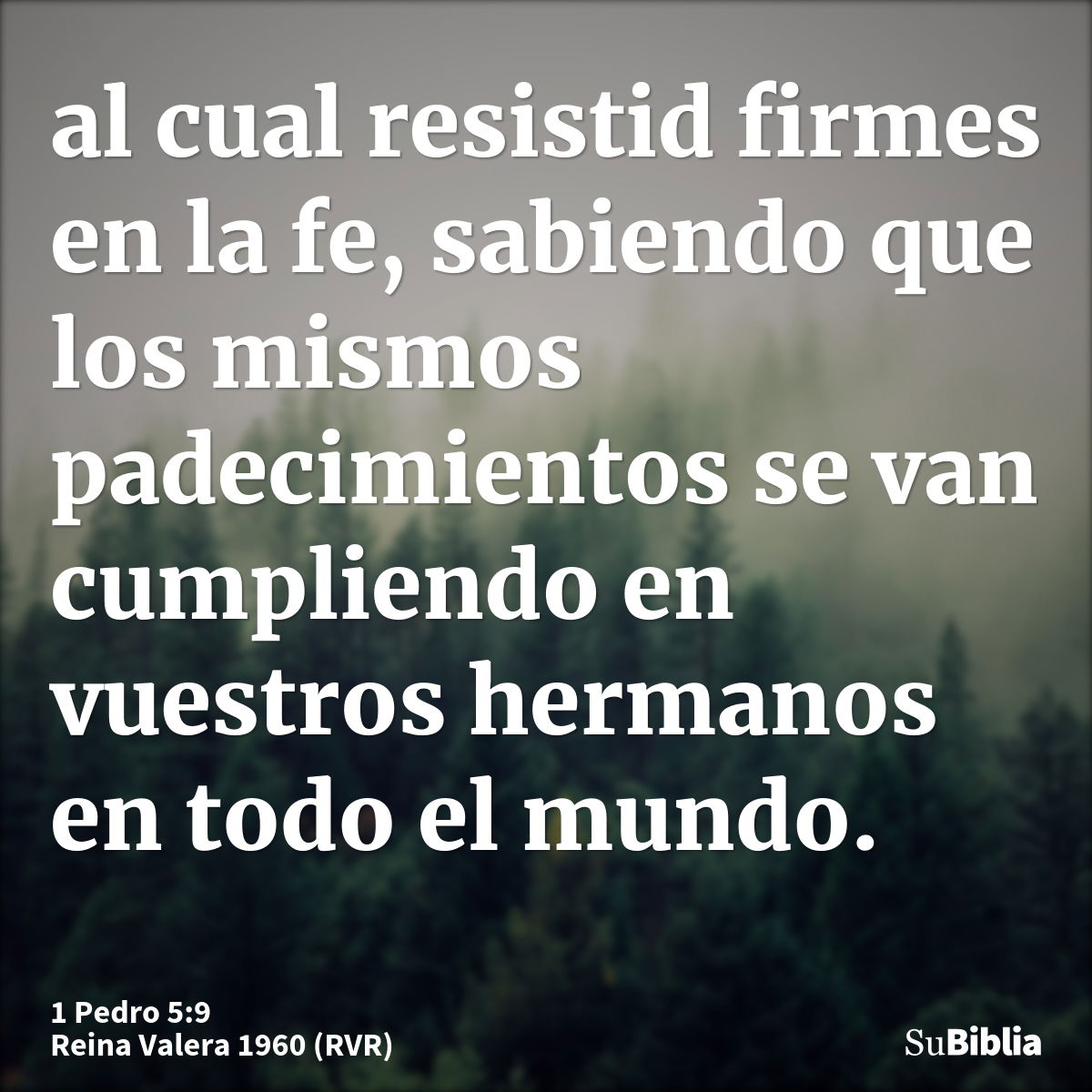 1 Pedro 5 9 Biblia
