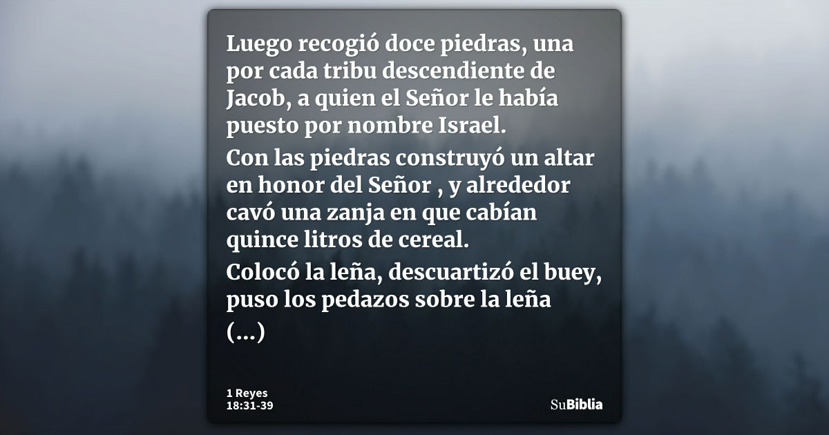 1 Reyes 18:31-39 - Biblia