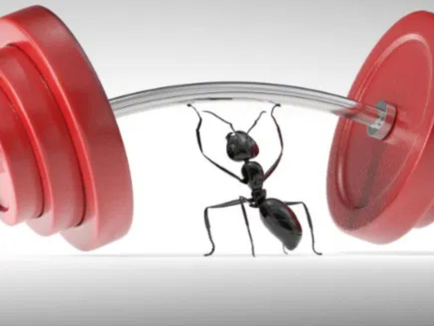 El proceso en la Biblia: alcanza el propósito quien persevera ...