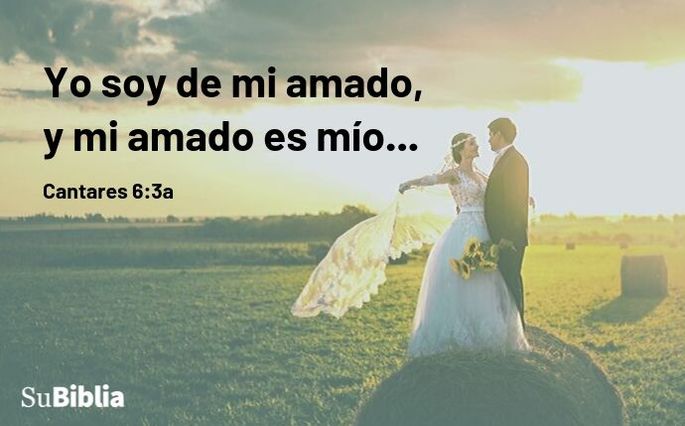 93 Versículos De Amor Para Construir Relaciones Fuertes Y Sinceras Biblia
