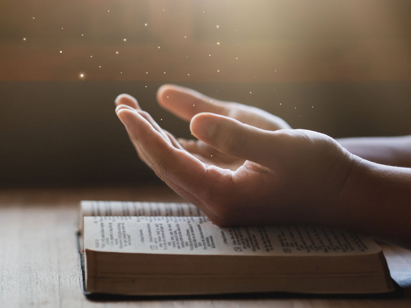 Dios honra a los que le honran (estudio bíblico) - Biblia