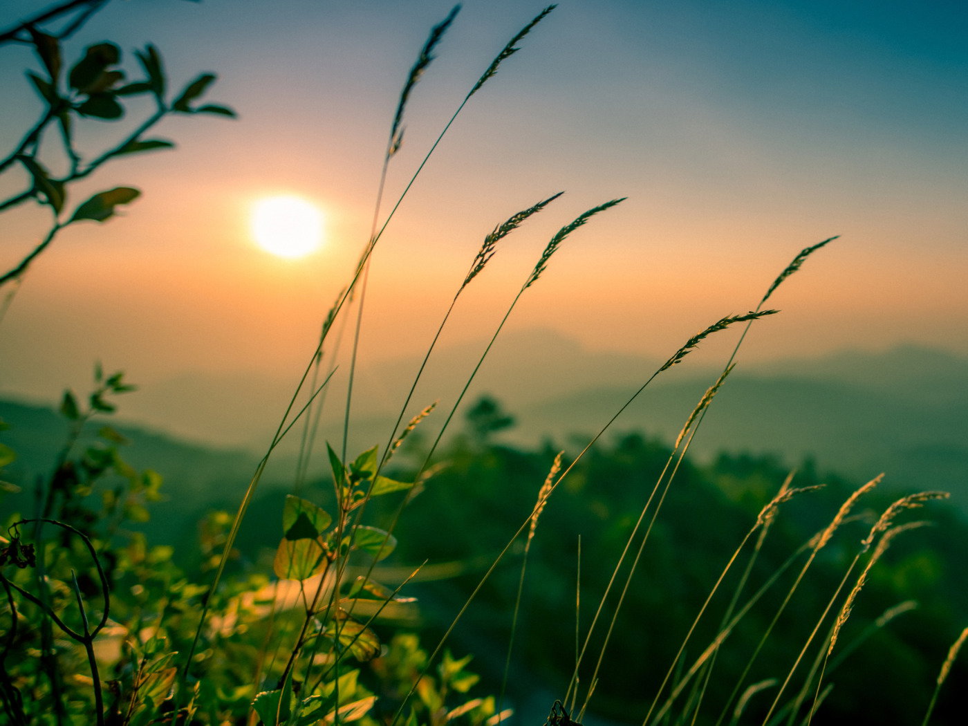 31 versículos sobre ser justo: Dios honra al justo - Biblia