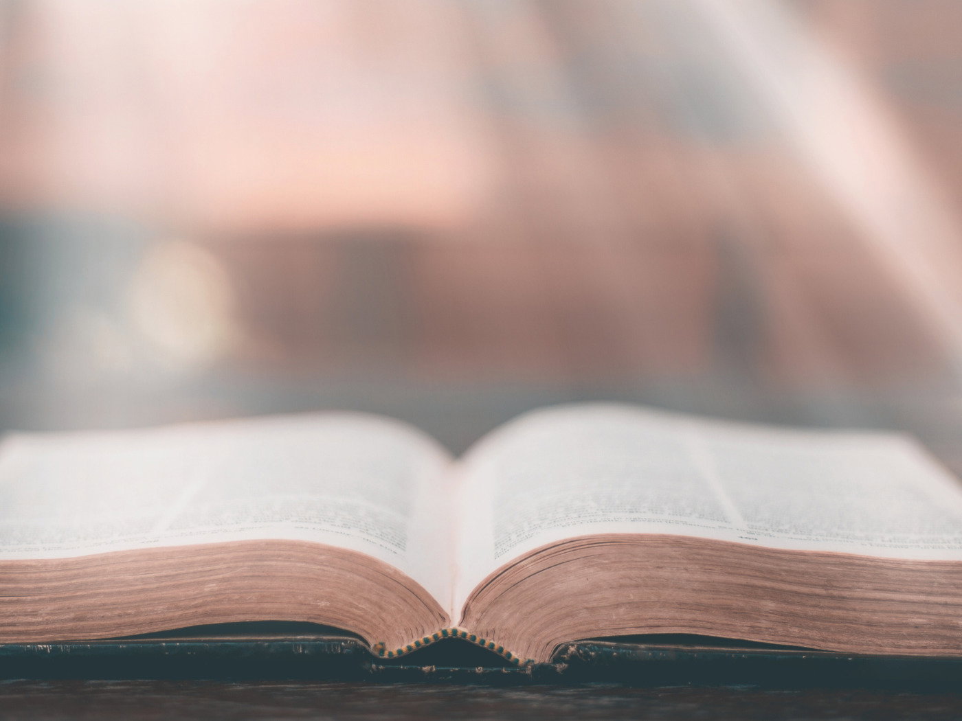 7 enseñanzas del libro de Rut - Biblia