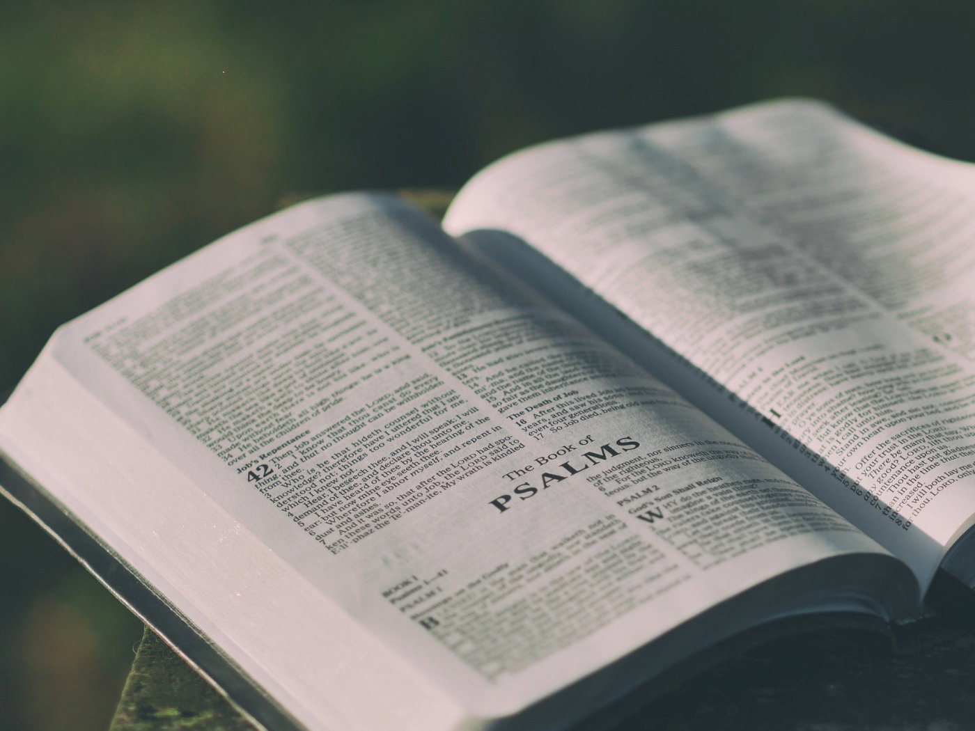 Explicación del Salmo 41 (versículo por versículo) - Biblia