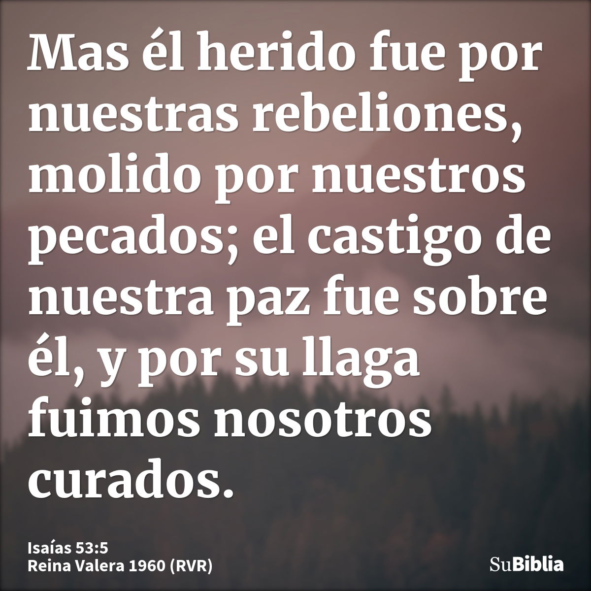 Isa as 53 5 Biblia Isa as 53 5 Biblia