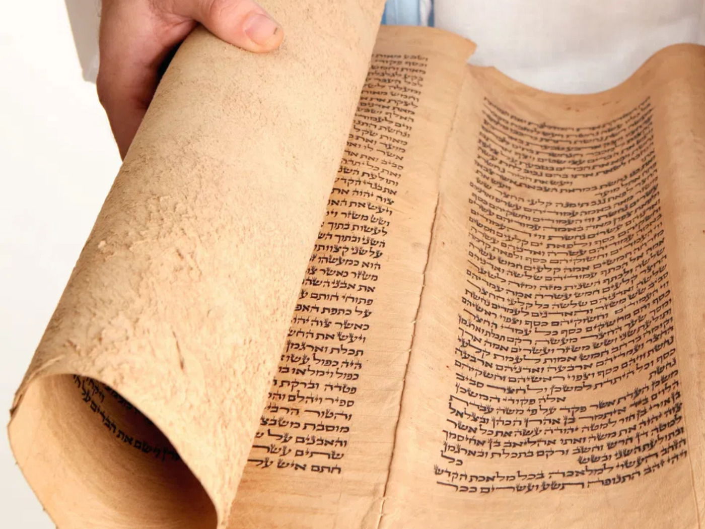 Resumen explicado del libro de Amós (estudio bíblico) - Biblia