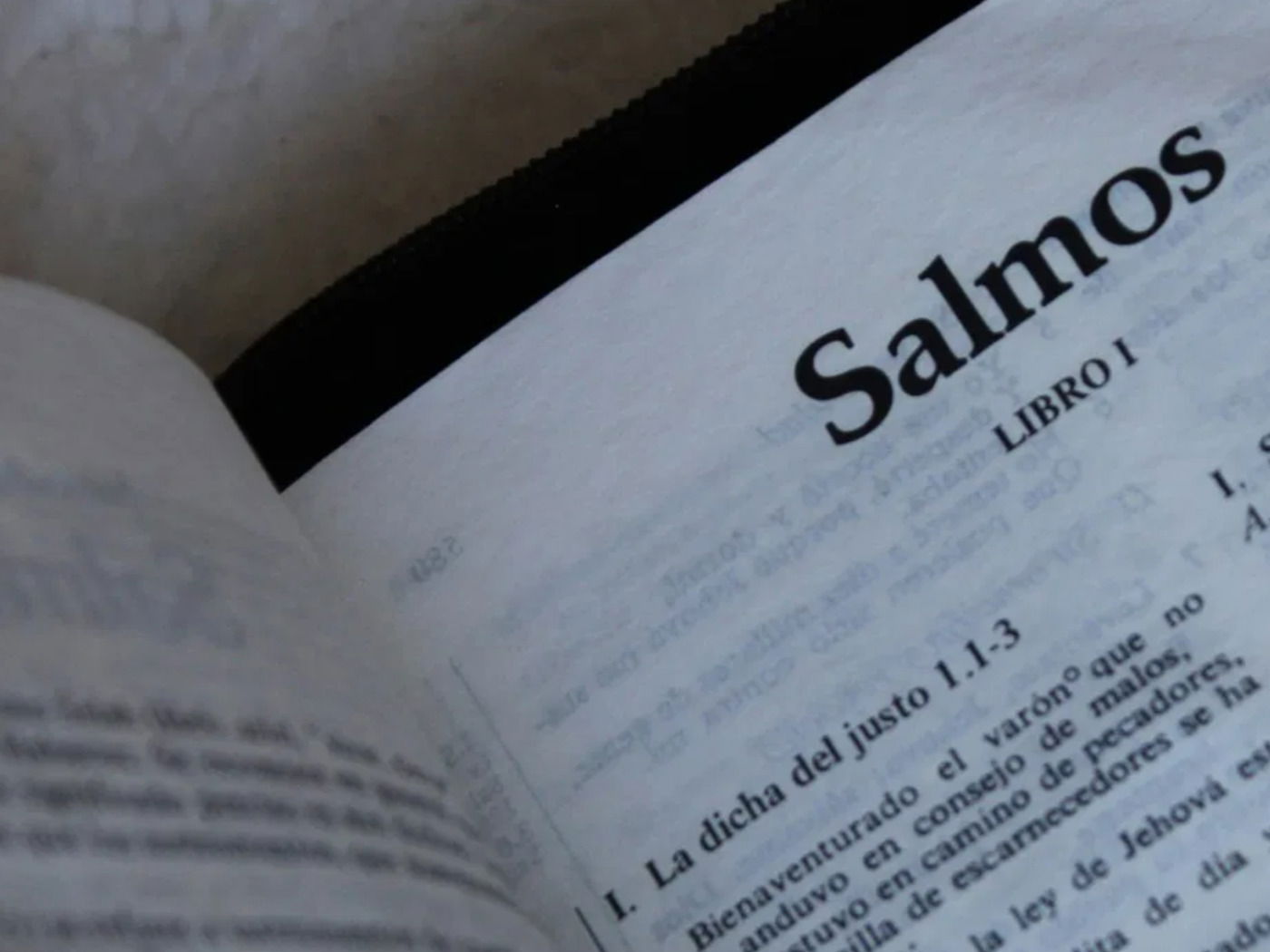Resumen explicado del libro de los Salmos (estudio bíblico) - Biblia