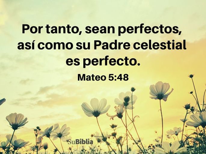 32 versículos bíblicos cortos y lo que significan - Biblia