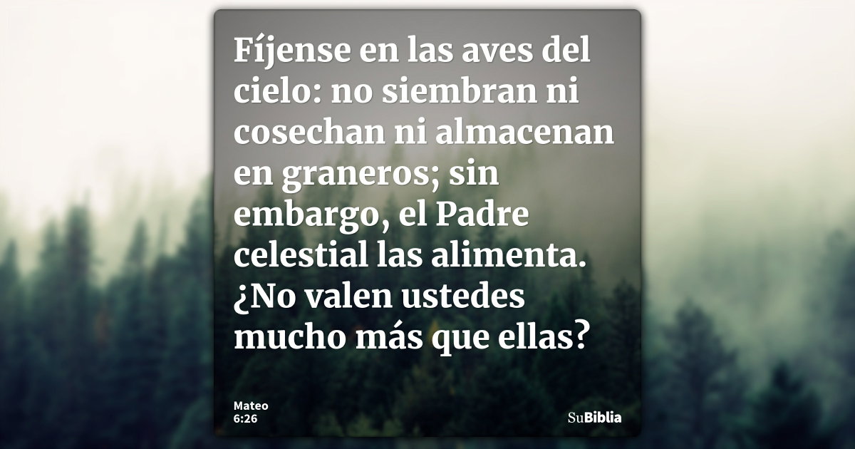 Mateo 6:26 - Biblia