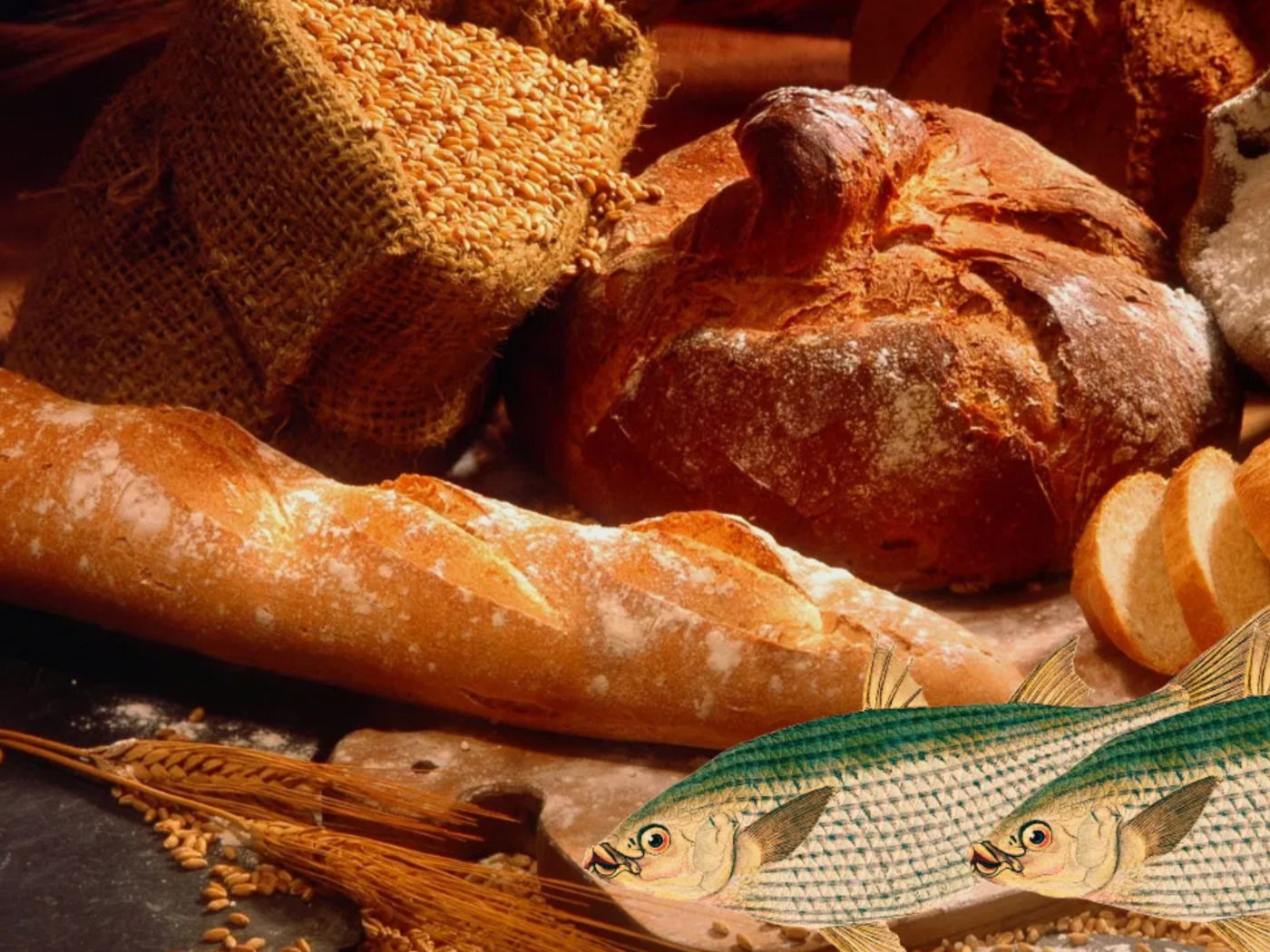 La multiplicación de los panes y los peces (estudio bíblico) - Biblia