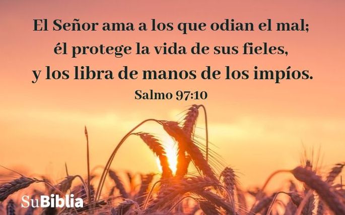 93 Versículos De Amor Para Construir Relaciones Fuertes Y Sinceras Biblia