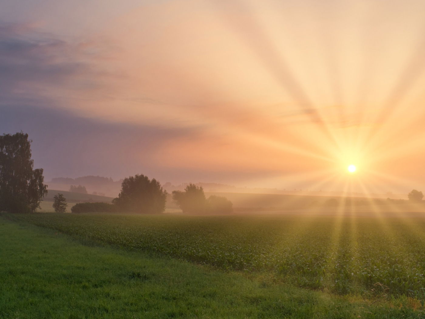 16 versículos para leer por la mañana (y entregar el día a Dios) - Biblia