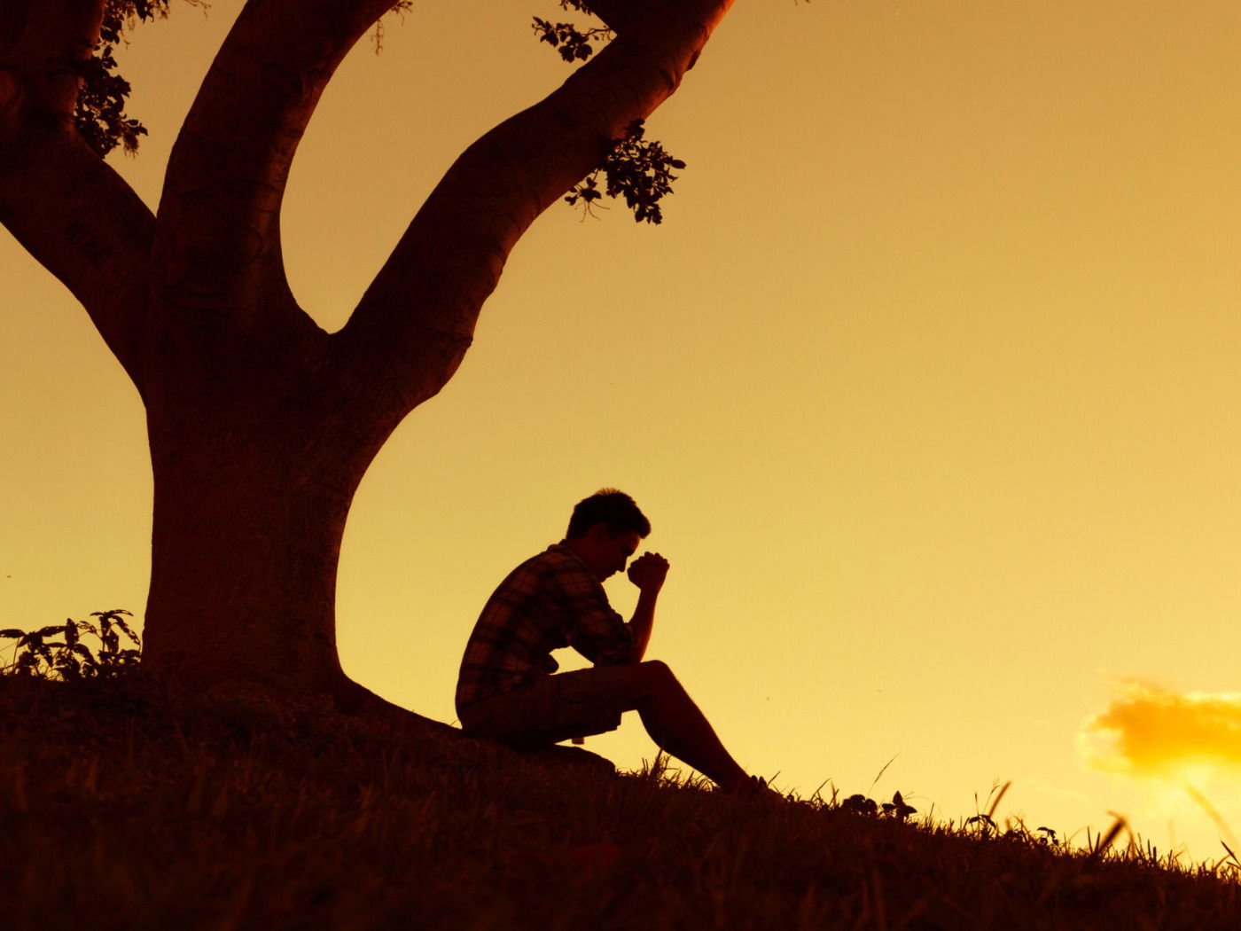 7 versículos para quien está triste y angustiado - Biblia