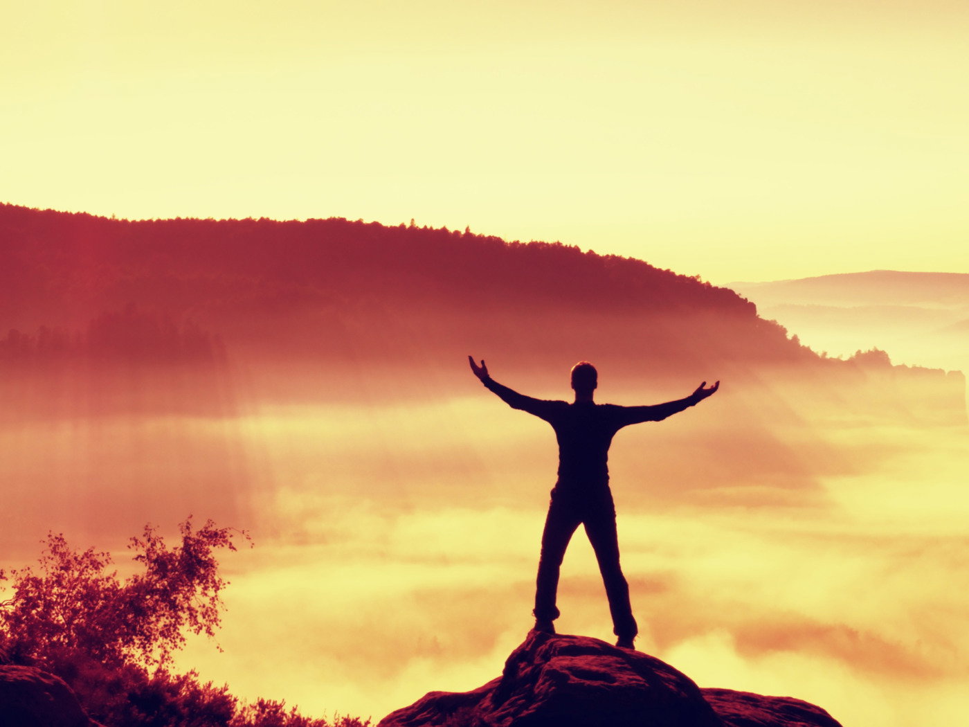 7 versículos para tener fuerza y valentía: Dios es mi fuerza - Biblia