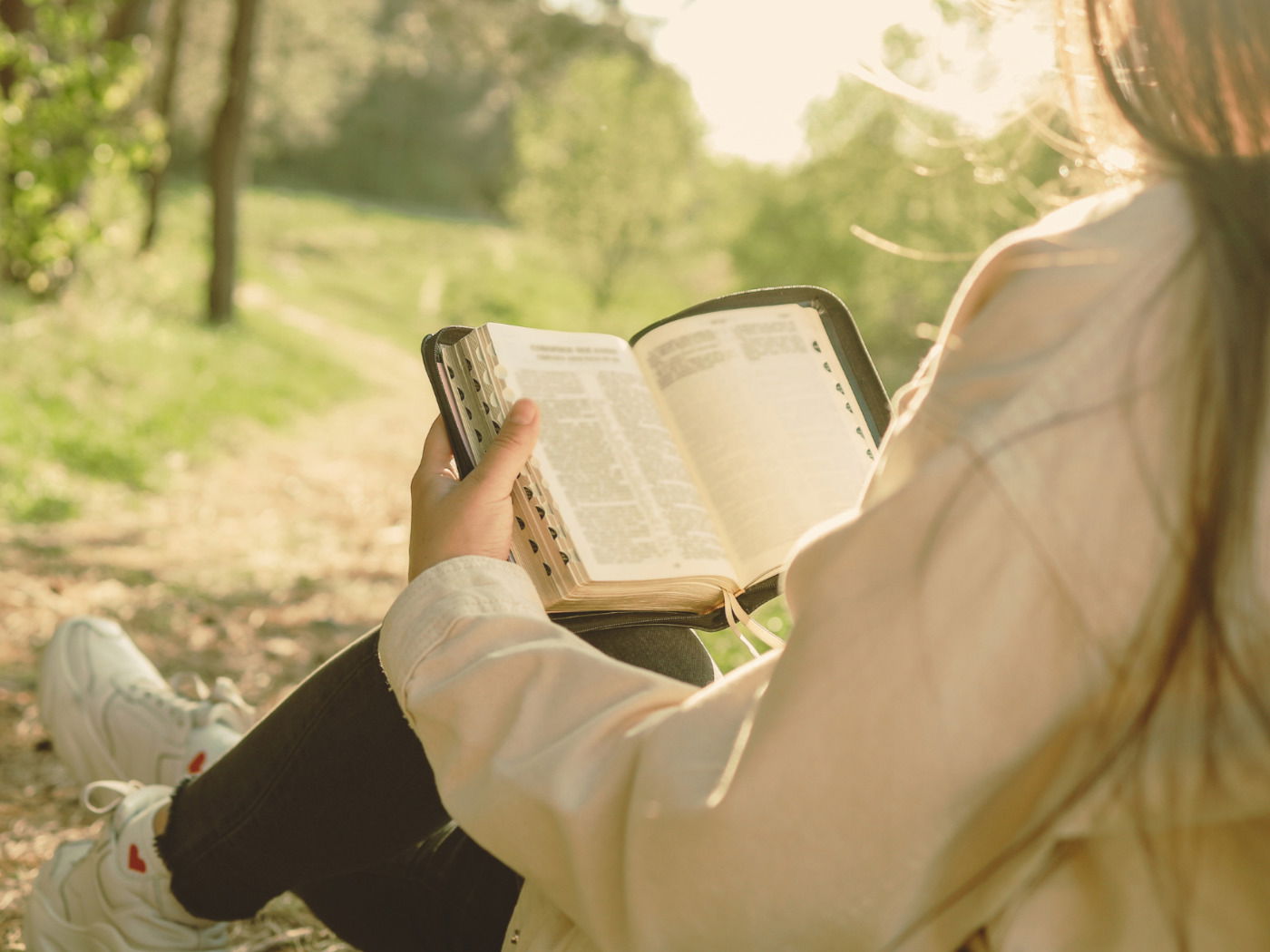 19 versículos sobre buscar a Dios - Biblia