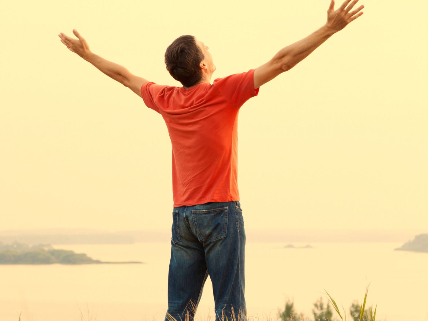 Versículos sobre cómo Dios transforma nuestras vidas y nos renueva - Biblia