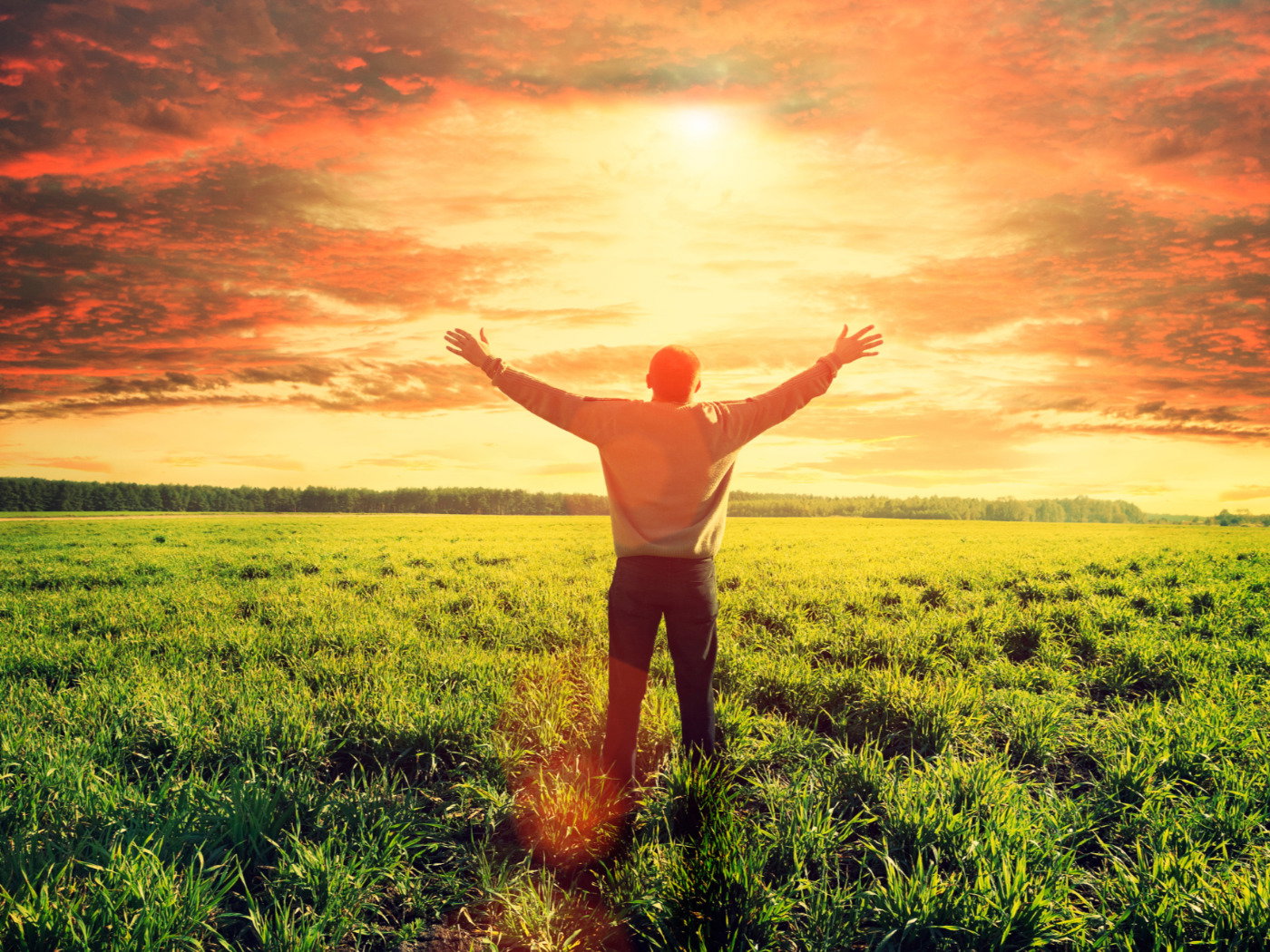 17 versículos sobre el cuidado de Dios - Biblia