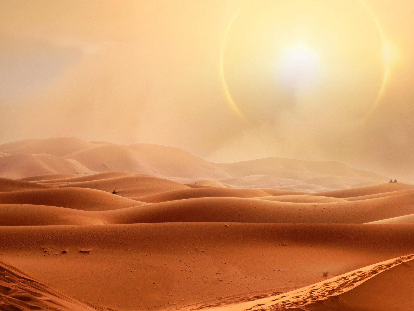 19 versículos sobre el desierto - Biblia