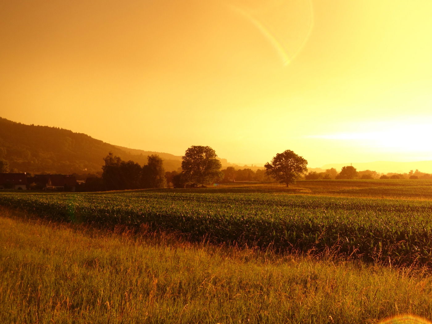 13 versículos sobre restitución - Biblia