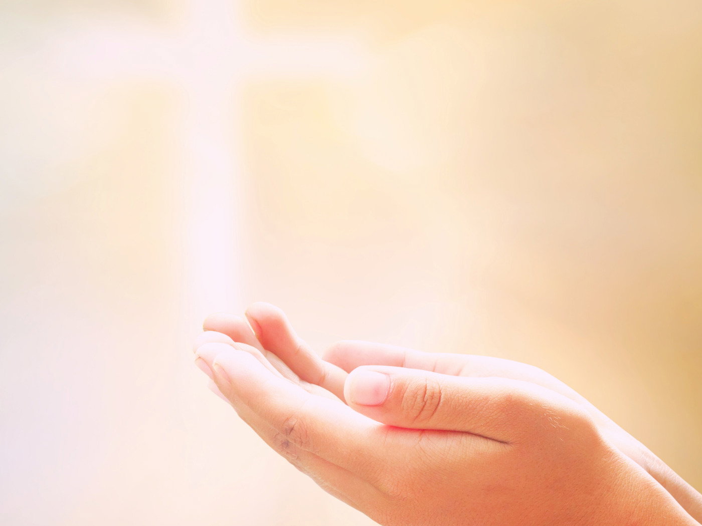 19 versículos sobre volver al primer amor - Biblia