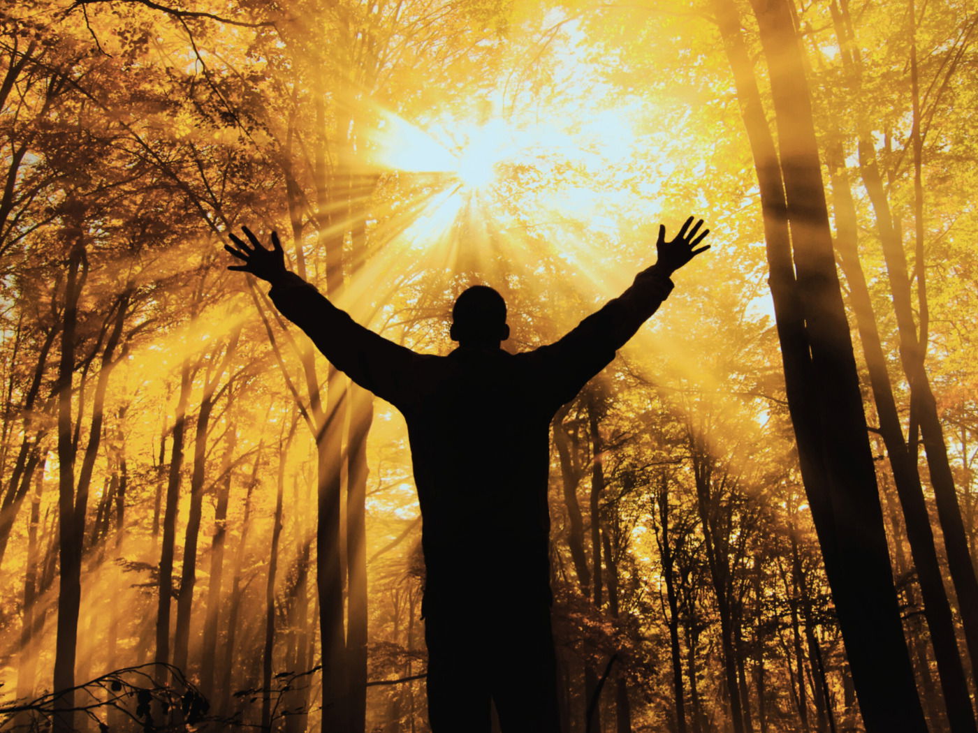 11 versículos sobre vivir para agradar a Dios - Biblia