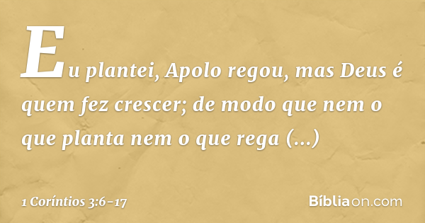 1 Coríntios 3:6-17 (Eu plantei, Apolo regou) - Bíblia