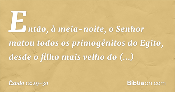 Êxodo 12:29-30 - Bíblia