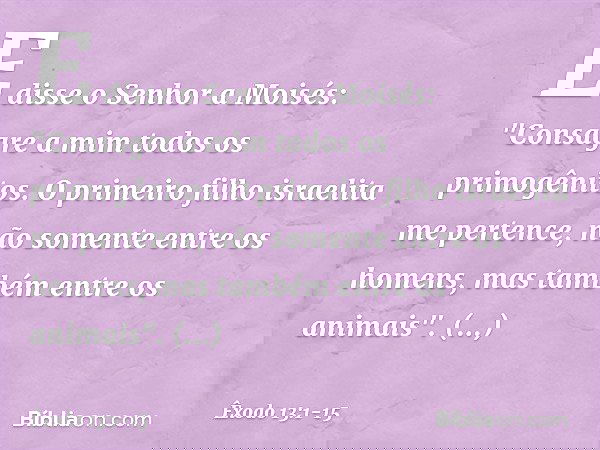 Êxodo 13:1-15 - Bíblia