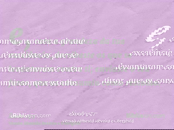 Êxodo 15:7 - Bíblia