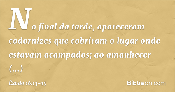 Êxodo 16:13-15 - Bíblia