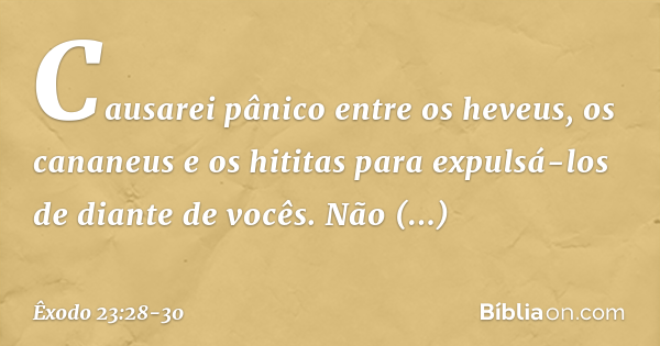 Êxodo 23:28-30 - Bíblia