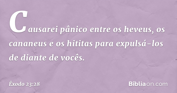 Êxodo 23:28 - Bíblia
