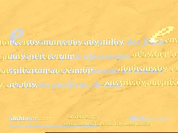 Êxodo 24:5 - Bíblia