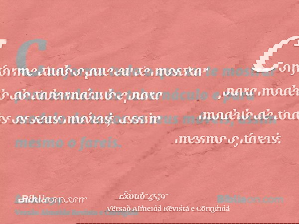 Êxodo 25:9 - Bíblia