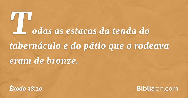 Êxodo 38:20 - Bíblia