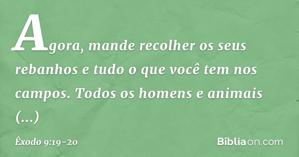 Êxodo 9:19-20 - Bíblia