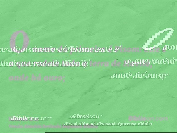 Gênesis 2:11 - Bíblia