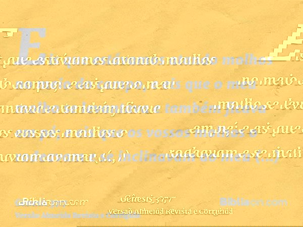 Gênesis 37:7 - Bíblia