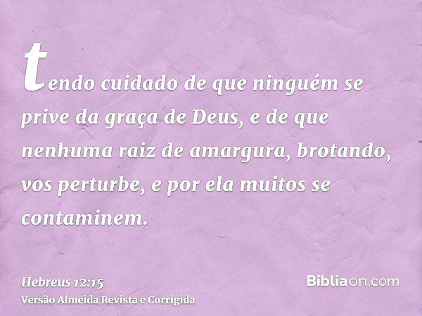 Hebreus 12:15 (Raiz de amargura) - Bíblia