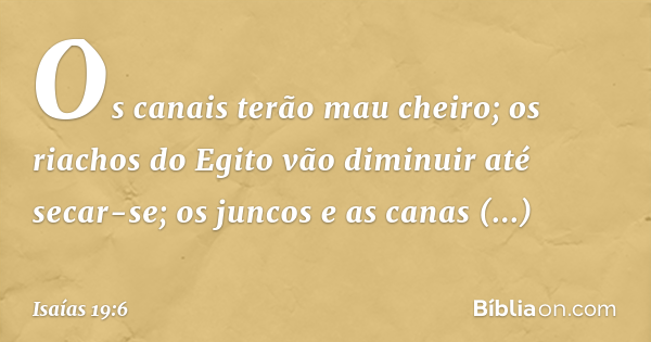 Isaías 19:6 - Bíblia