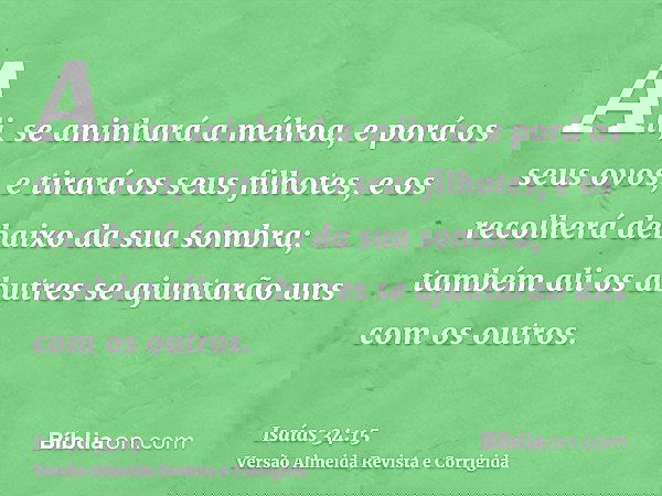 Isaías 34:15 - Bíblia