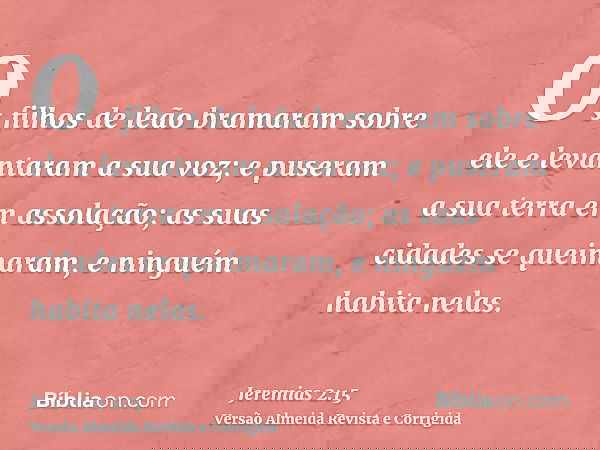 Jeremias 2:15 - Bíblia